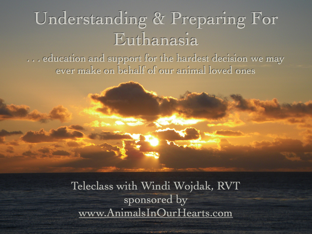 Pet Loss & Grief Support : Understanding and Preparing for Euthanasia